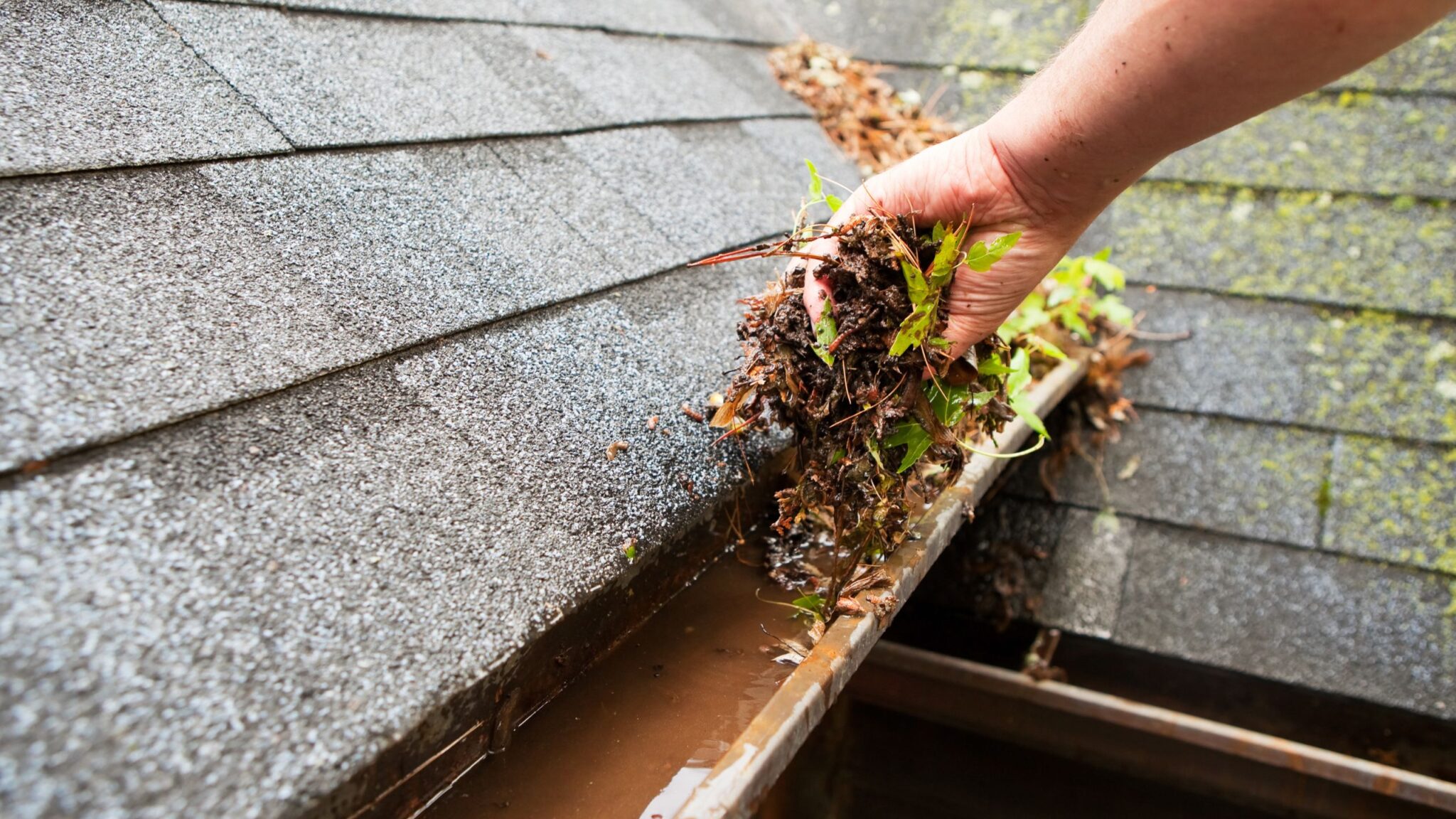 Gutter Cleaning – REVOLUTION CONTRACTOR CORP